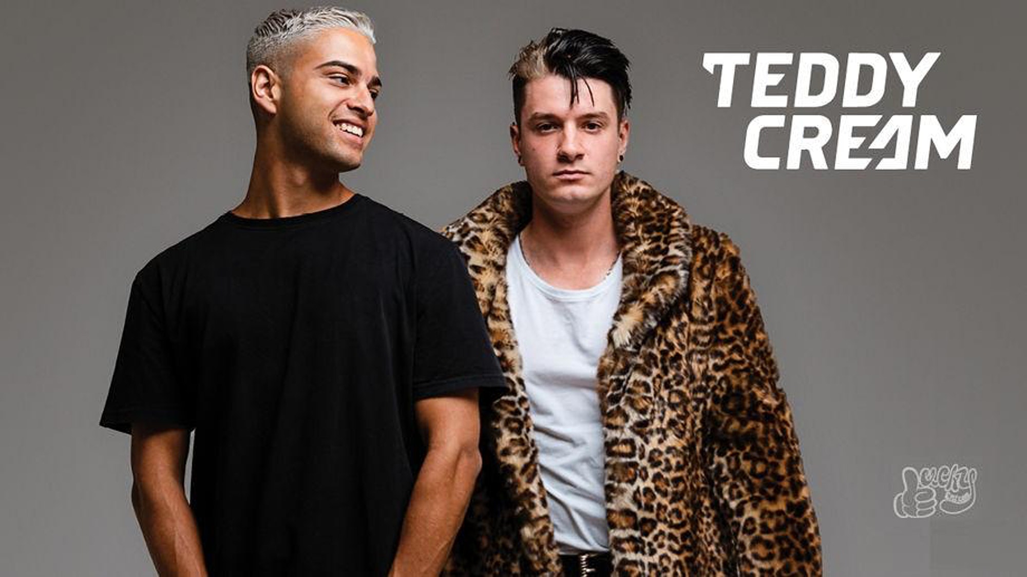 Skylite Room Presents - Teddy Cream - Warrenpoint.ie